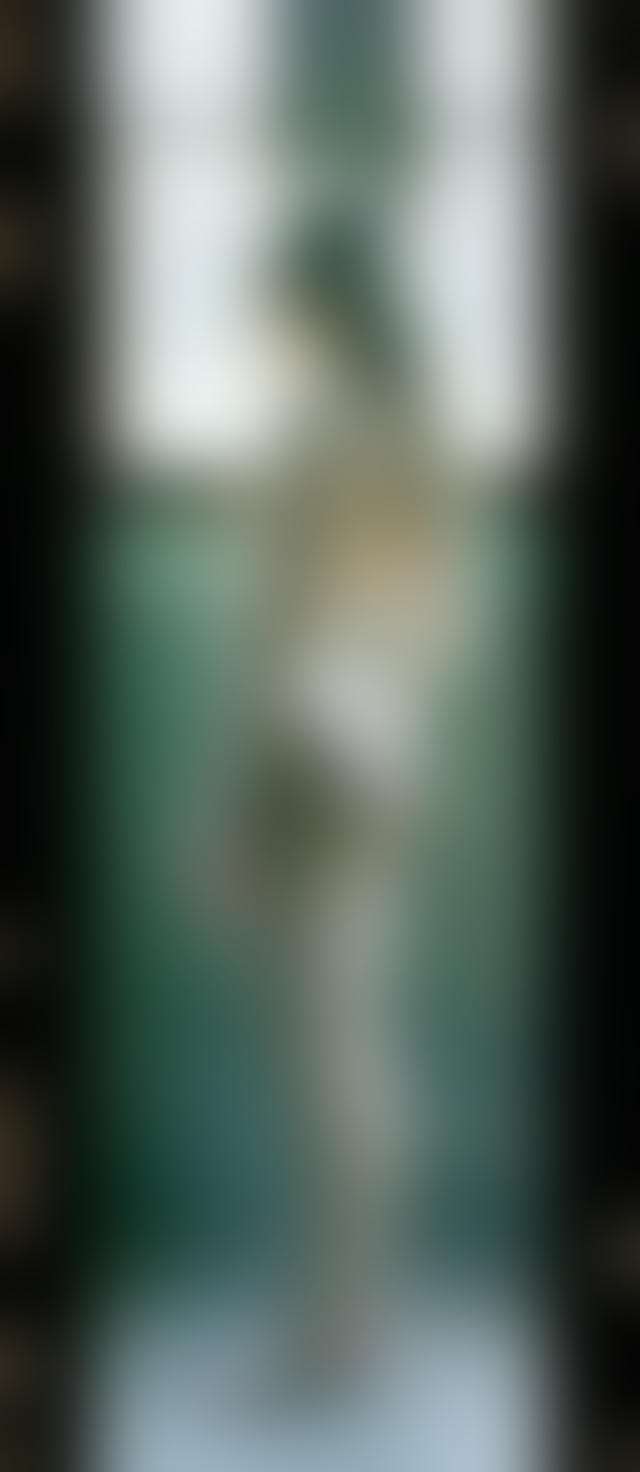 Stable Diffusion prompt: A professional photograph captu...