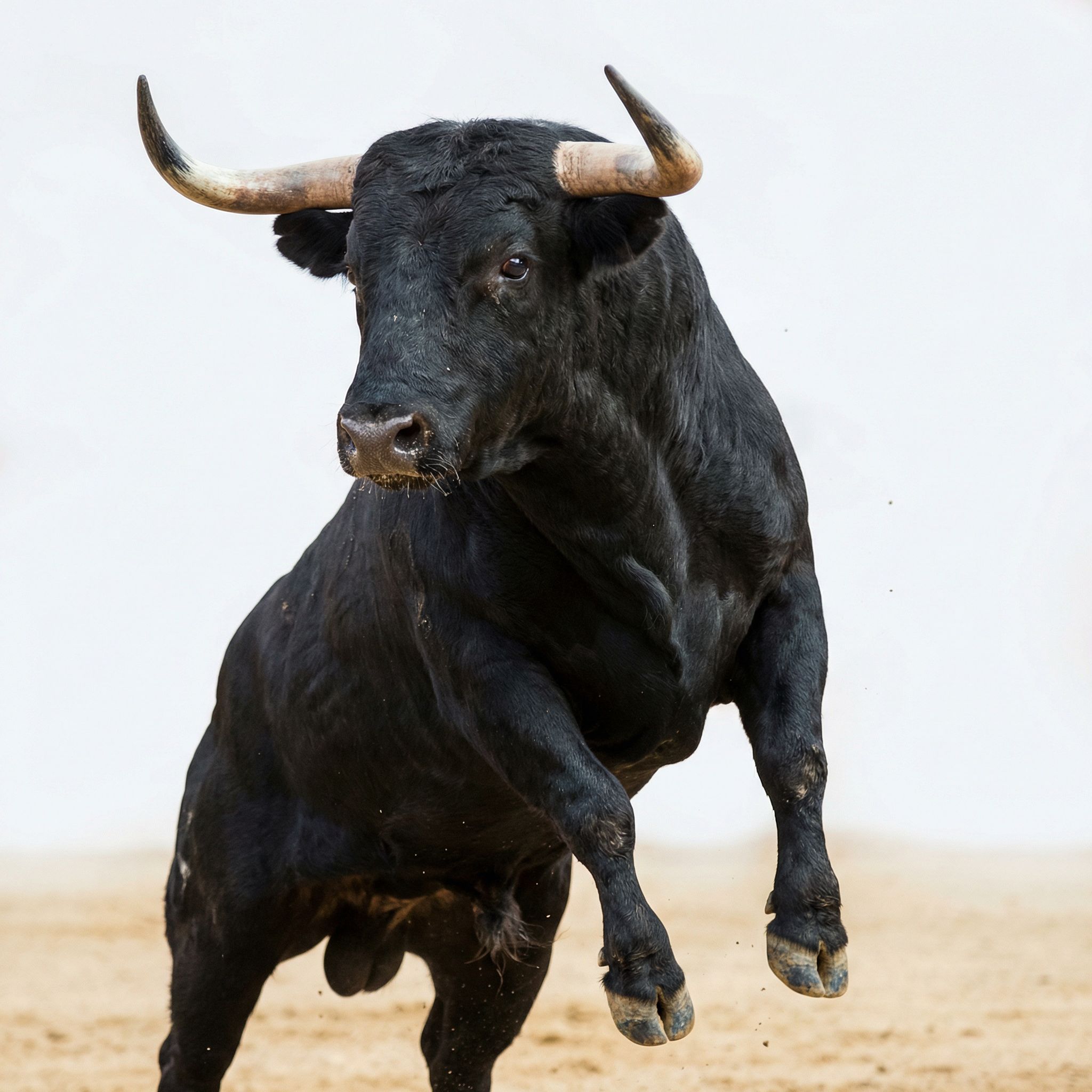 Nano Banana prompt: Hyper-realistic fighting bull, extrem...